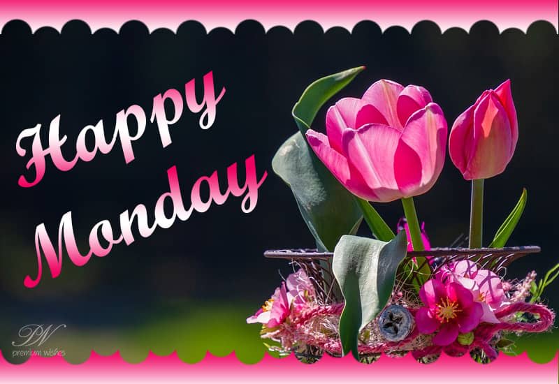 Happy Monday - May you have happy moments - Premium Wishes