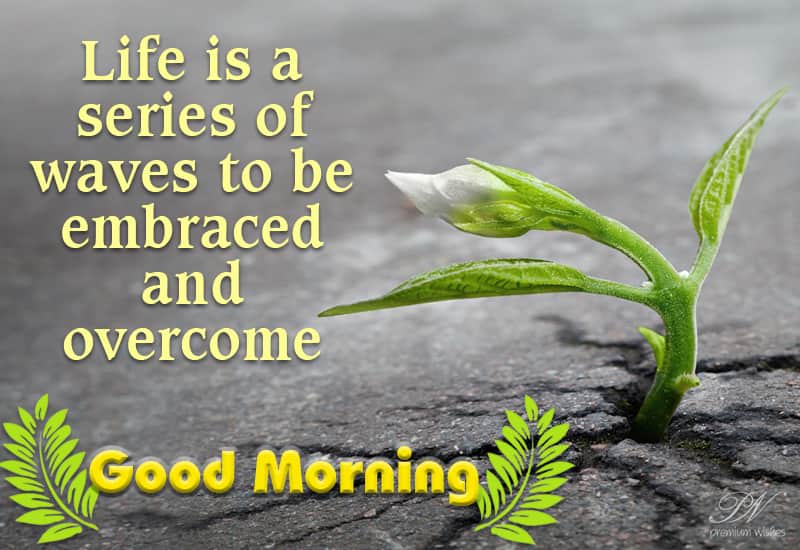 Life is a series of waves to be embraced and overcome - Good Morning ...