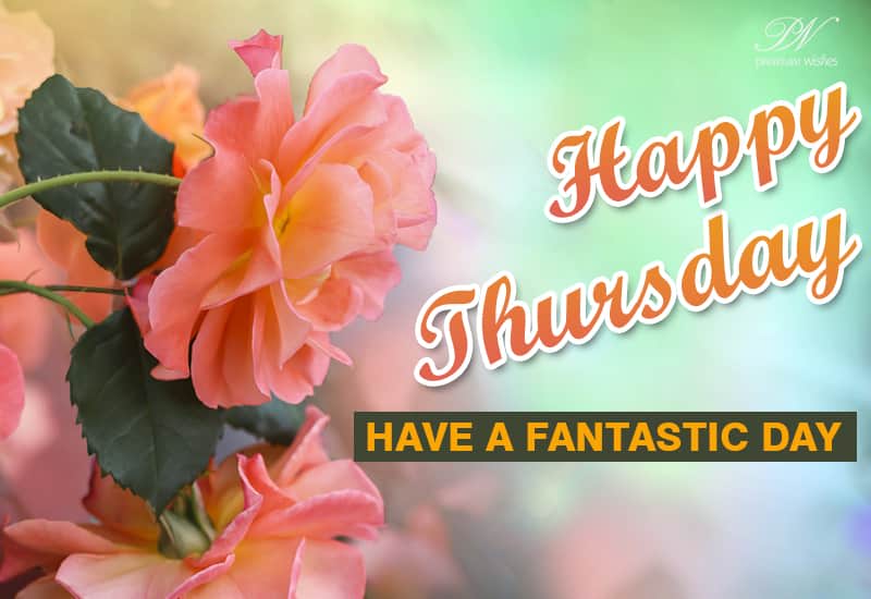 Happy Thursday - Have a fantastic day - Premium Wishes