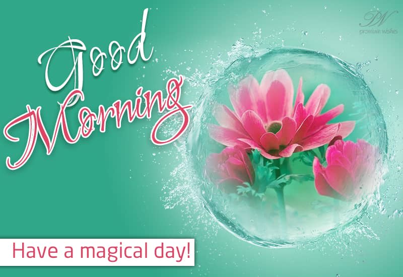 Good Morning Friends - Have a magical day! - Premium Wishes