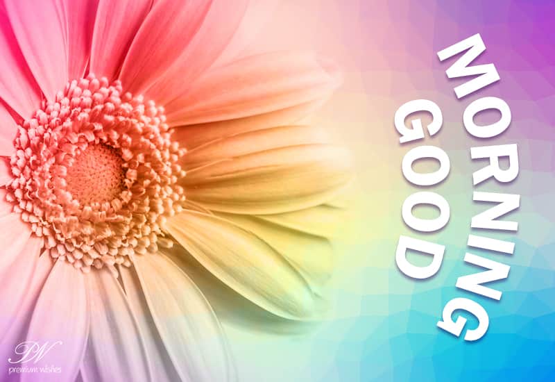 Good Morning - Enjoy The Bright Morning - Premium Wishes