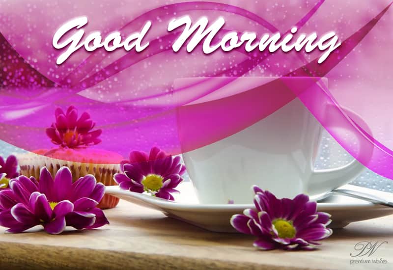 Good Morning - Hope You All Are Staying Safe - Premium Wishes
