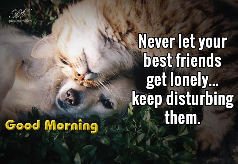 Never let your best friends get lonely - Premium Wishes