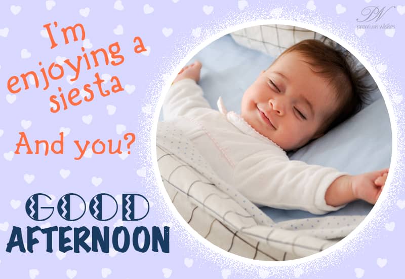Good Afternoon - Are you ready for a siesta? - Premium Wishes