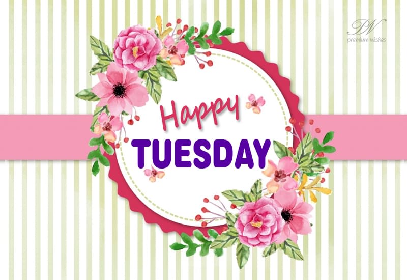 Wishing You A Hap Happy Tuesday - Premium Wishes