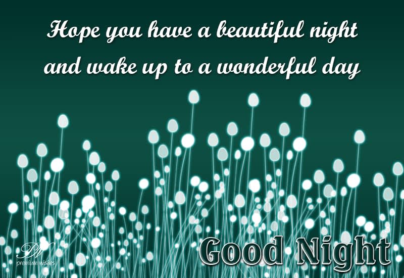 Good Night - Wake Up To A Wonderful Day - Premium Wishes