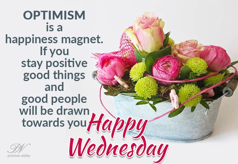 Happy Wednesday - Optimism is a happiness magnet - Premium Wishes