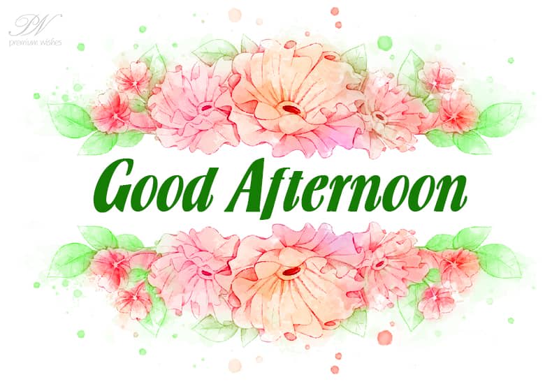 Good Afternoon - Hope you have a blessed noon - Premium Wishes