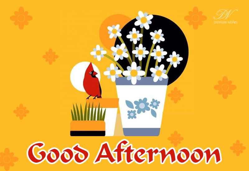 Good Noon To You Friends - Premium Wishes