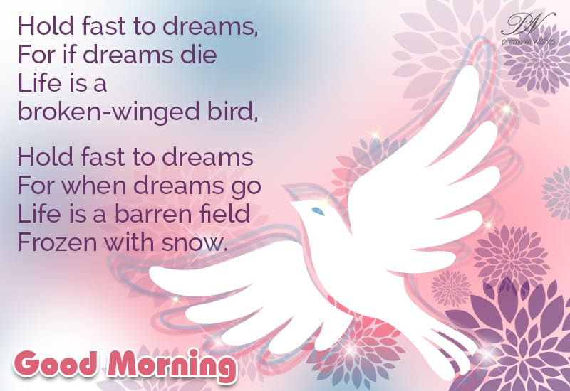 Good Morning - Hold fast to dreams - Premium Wishes