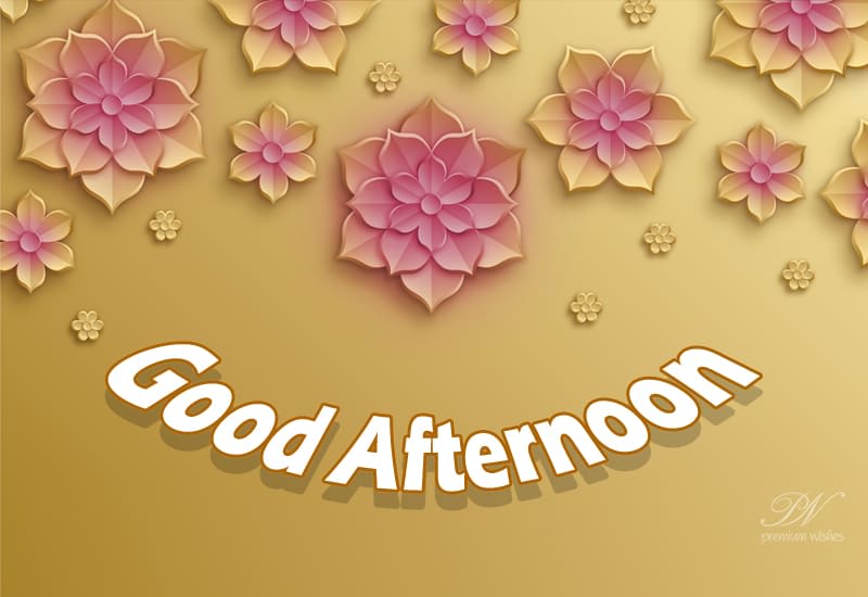 Good Afternoon Friends - Enjoy the cool weather and nature - Premium Wishes