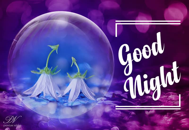 Good Night - Stay Home Stay Safe - Good Night Msg to Love for Friend ...