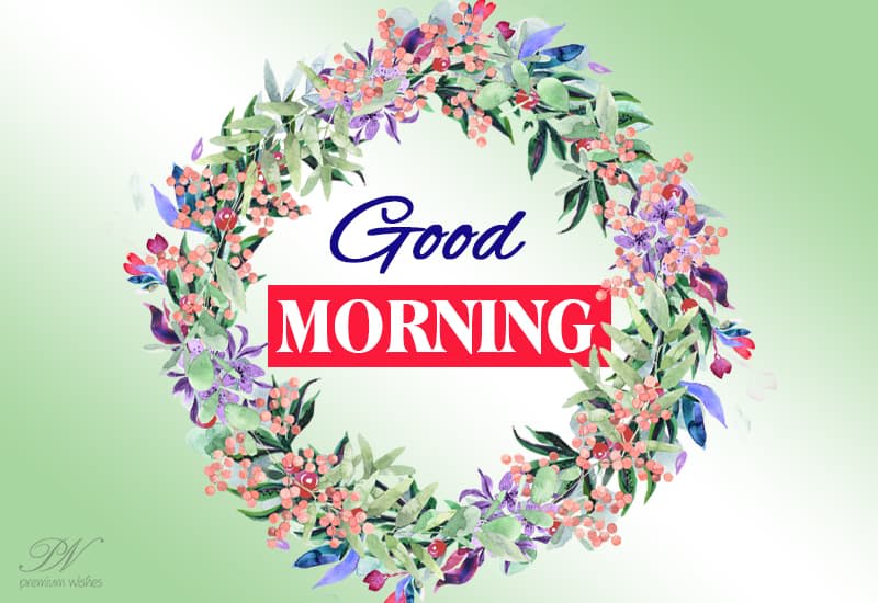 Good Morning Friends - Keep Safe - Maintain Distancing - Premium Wishes