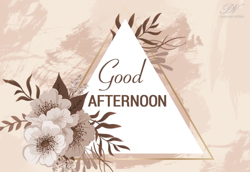 Good Afternoon - Have a blessed noon - Premium Wishes