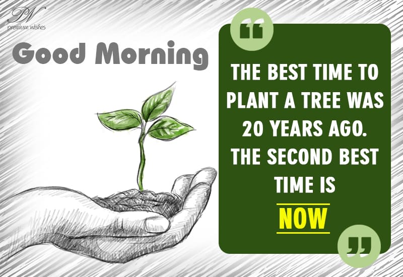 Good Morning - The right time is 'NOW' - Premium Wishes