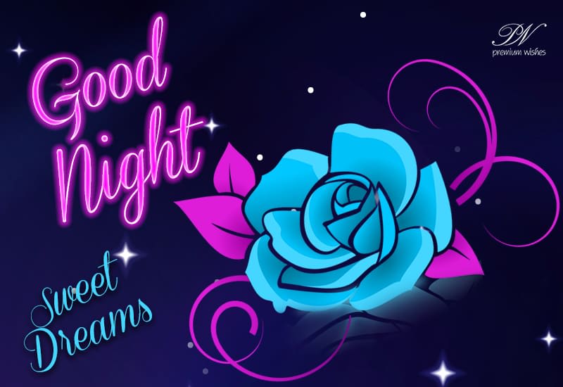 Good Night Wishing You A Lovely Night Premium Wishes good-night-wishing-you-a-lovely-night-premium-wishes