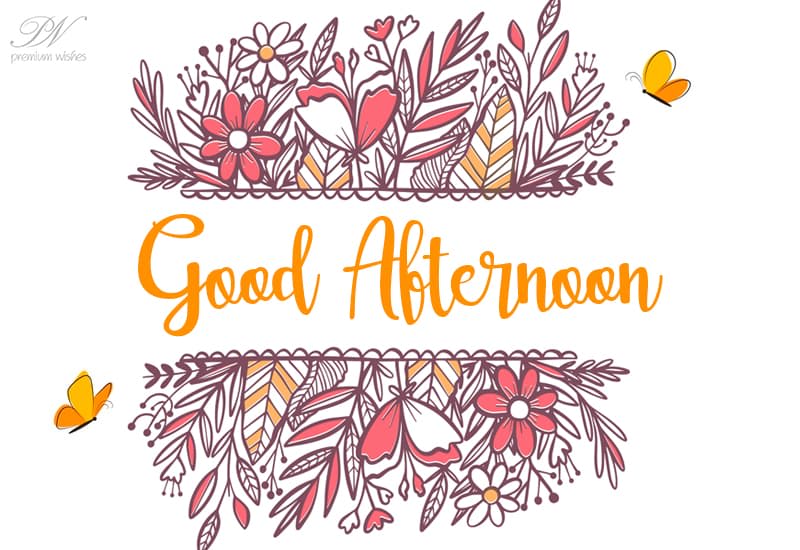 Good Afternoon - May you have a blessed noon - Premium Wishes