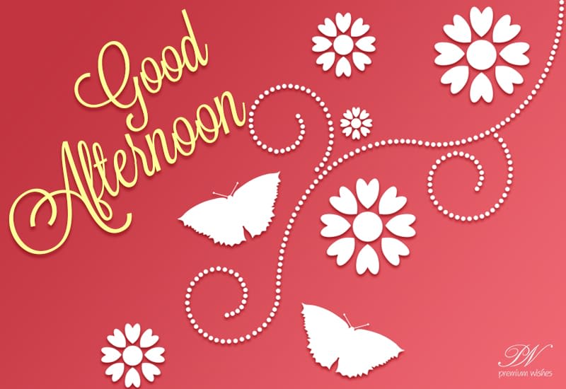 Good Afternoon - Have a great noon ahead - Premium Wishes