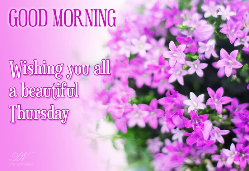 Wishing you a beautiful Thursday - Premium Wishes