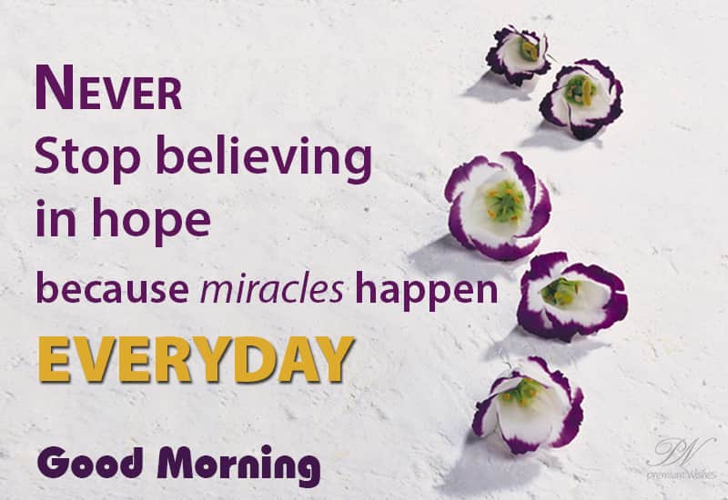 Good Morning - Never lose hope - Premium Wishes