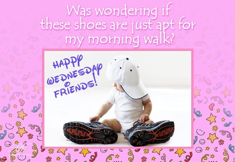 Happy Wednesday Friends - Premium Wishes