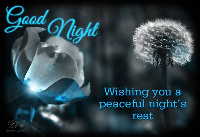 Wishing you a peaceful night's rest - Premium Wishes