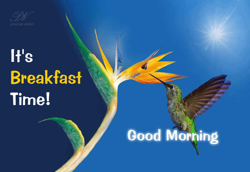 Good Morning - It's breakfast time - Premium Wishes