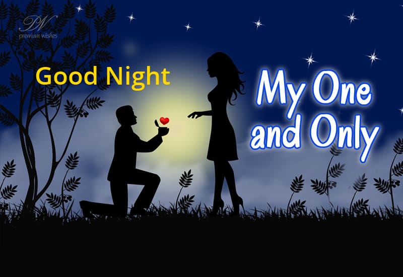 My one and only - Good Night - Premium Wishes