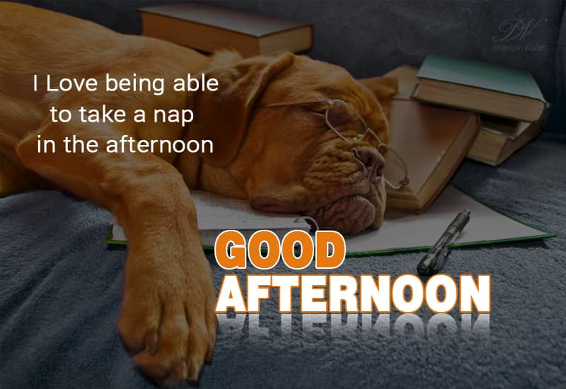 Good Afternoon - Enjoy The Nap - Premium Wishes