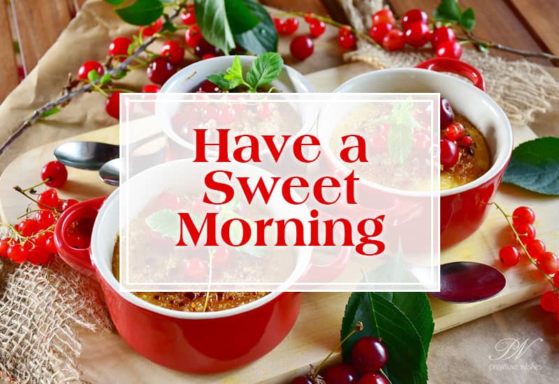 Good Morning - Have a sweet morning today - Premium Wishes