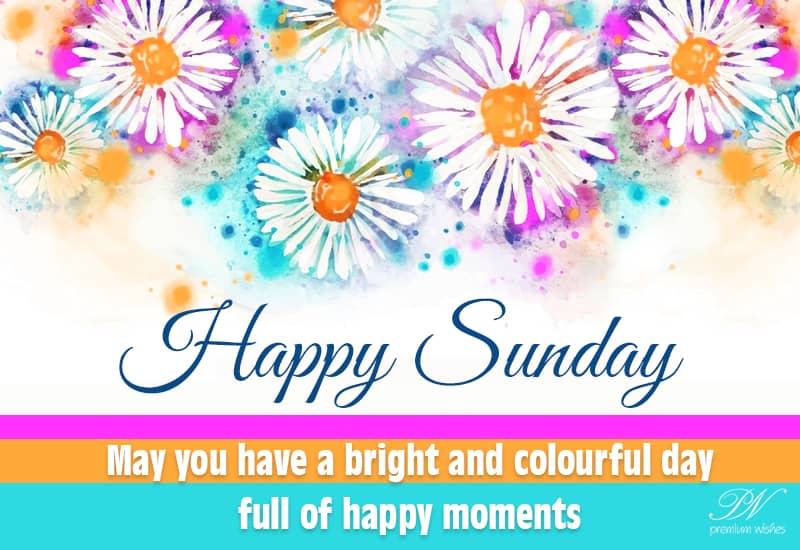 Happy Sunday - May you have a bright and colorful day - Premium Wishes