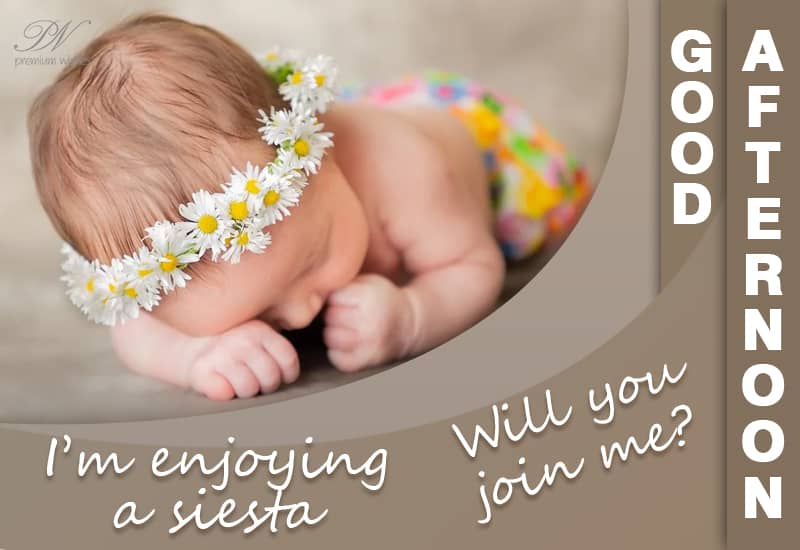 Afternoon Siesta Quotes