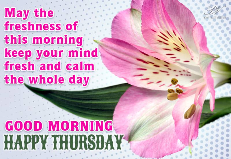 Good Morning - Happy Thursday - May The Freshness Of The Morning Keep ...