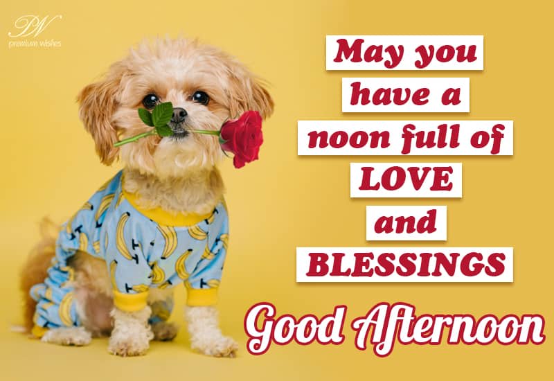 May you have a noon full of love and blessing - Premium Wishes
