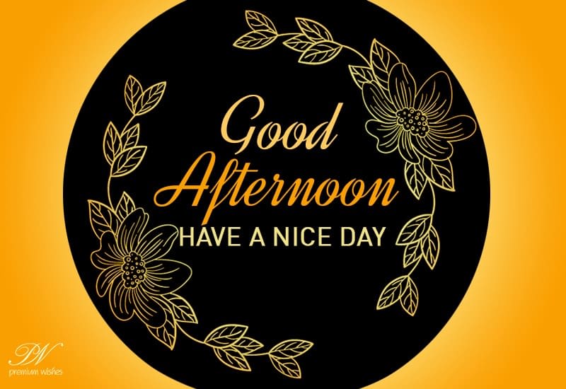 Friend Good afternoon have a nice day - Premium Wishes