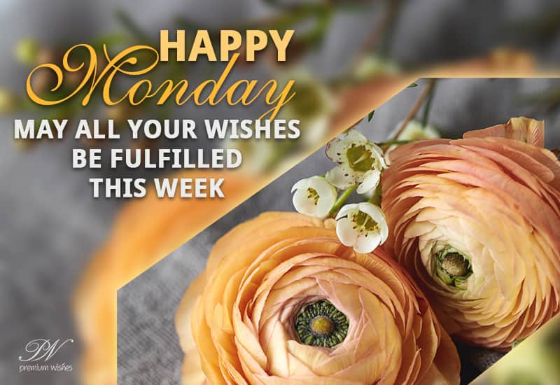 Happy Monday - May all your wishes be fulfilled this week - Premium Wishes