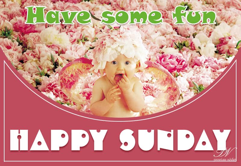 Happy Sunday - Have Some Fun - Premium Wishes