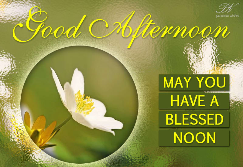Happy Afternoon - May you have a blessed noon - Premium Wishes