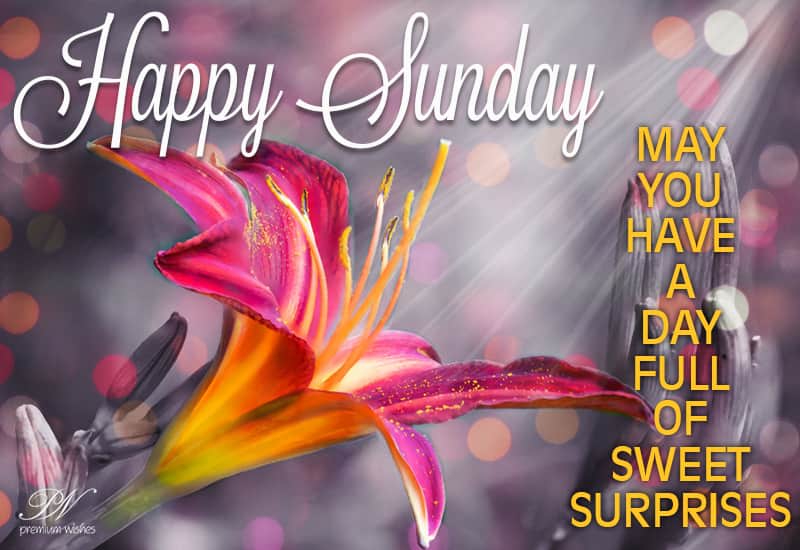 May you have a day full of sweet surprises - Happy Sunday - Good ...