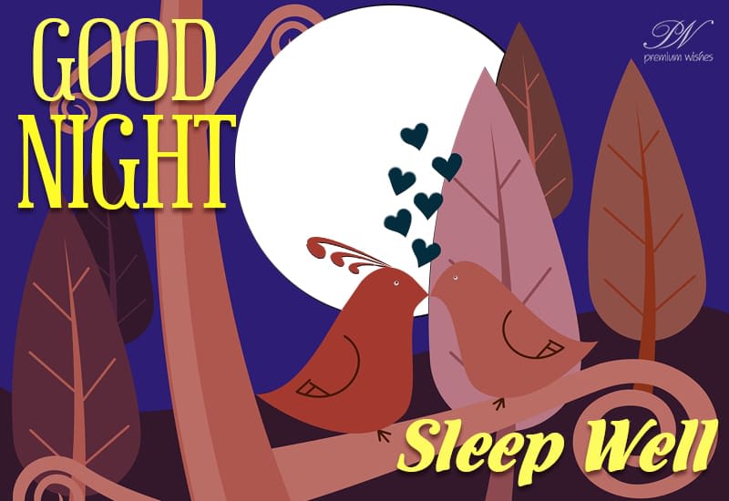 Good Night Sleep Well Sweet Dreaming - Premium Wishes