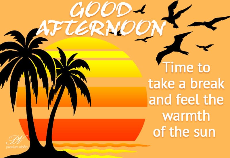 Time to take a break and feel the warmth of the sun - Good Afternoon ...