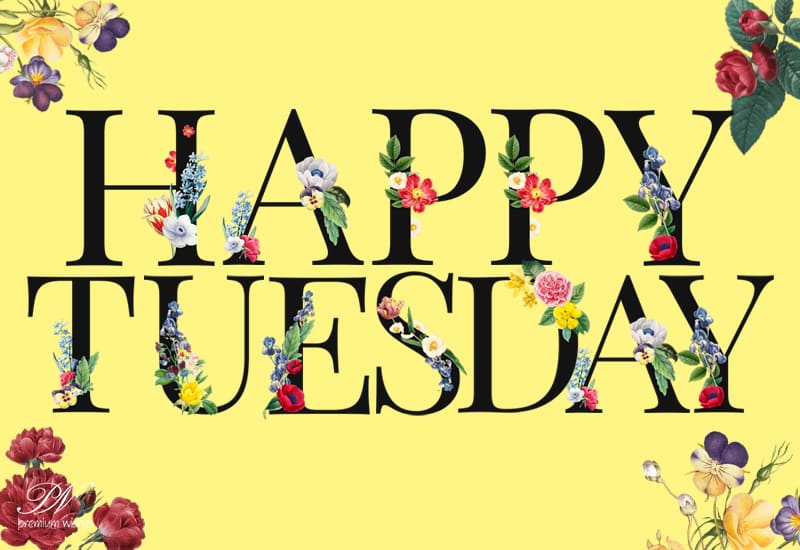 Weekday Wishes - Page 33 of 92 - Premium Wishes