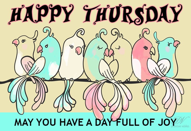 May you have a day full of joy - Happy Thursday - Premium Wishes