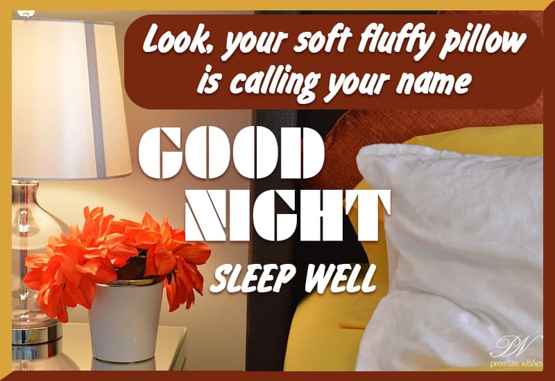 Look your soft fluffy pillow is calling your name - Good Night Sleep ...