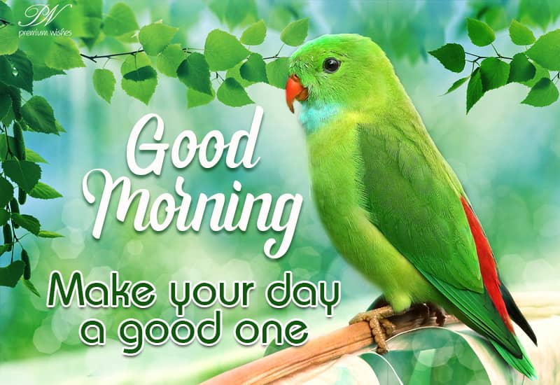 Good Morning - Make your day a good one - Premium Wishes