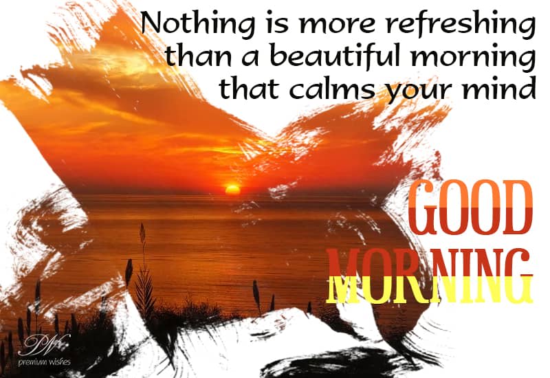 Nothing is more refreshing than a beautiful morning that calms your ...
