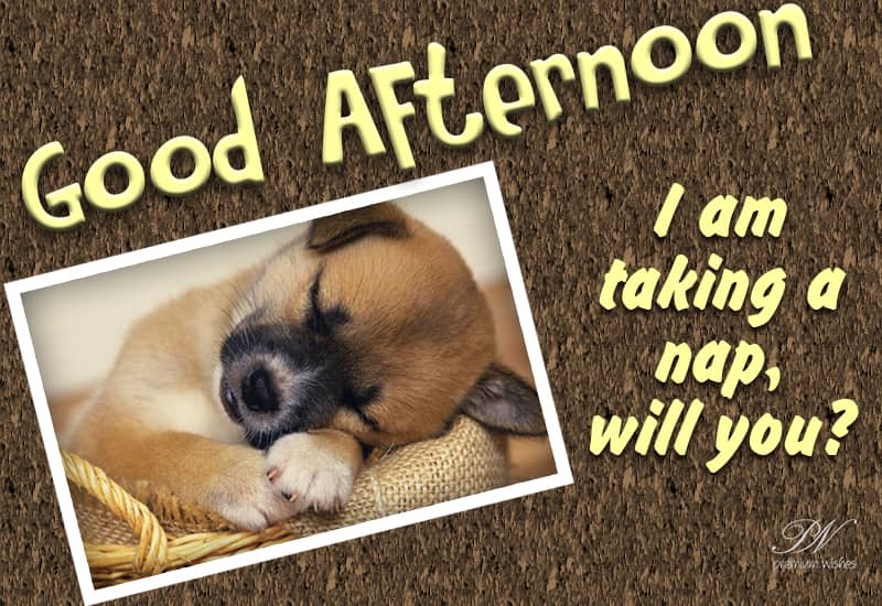 Nights are for resting not for worrying , so get in the bed and get ...