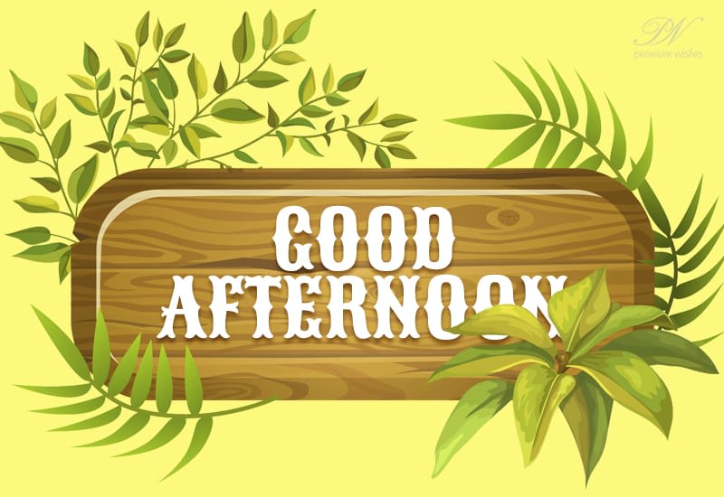 Good Night - Keep Your Spirits Up and Be Happy - Premium Wishes