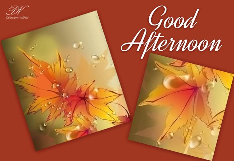 Good Afternoon Wishes - Page 30 of 99 - Premium Wishes