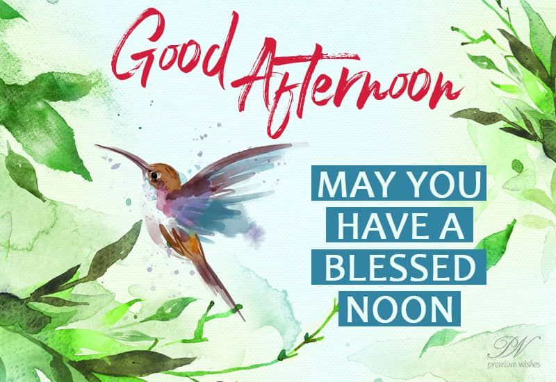 May you have a blessed noon today - Good Afternoon - Premium Wishes